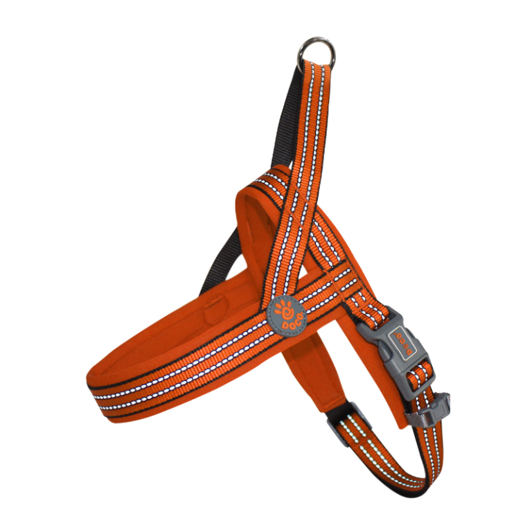 Vario Neoprene Harness orange – Jurassic Bark