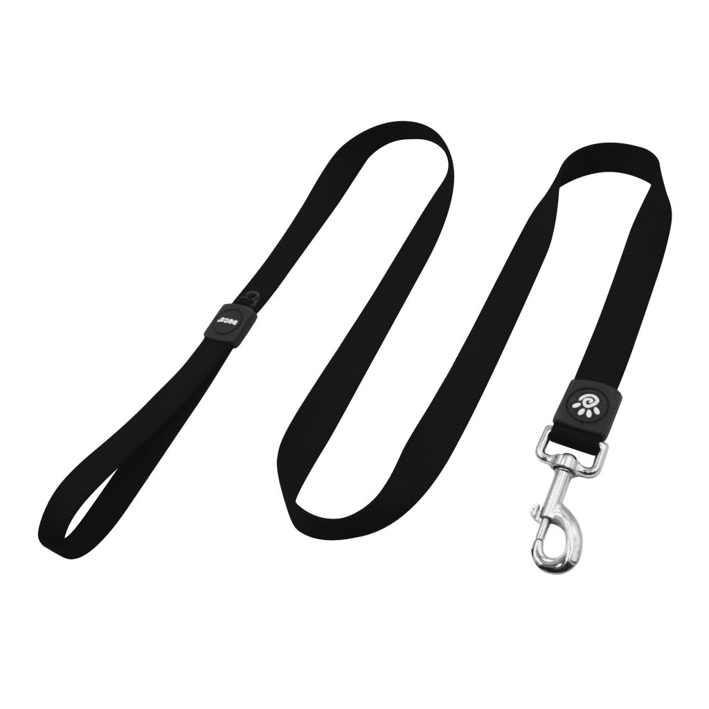 Signature Nylon leash Black – Jurassic Bark